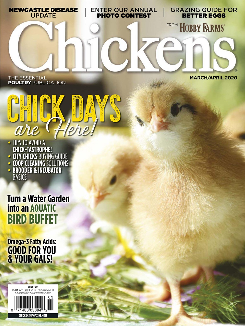 Chickens Subscription | Magazine-Agent.com