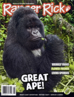 Ranger Rick Magazine | Magazine-Agent.com