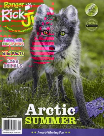 Ranger Rick Jr | Magazine-Agent.com