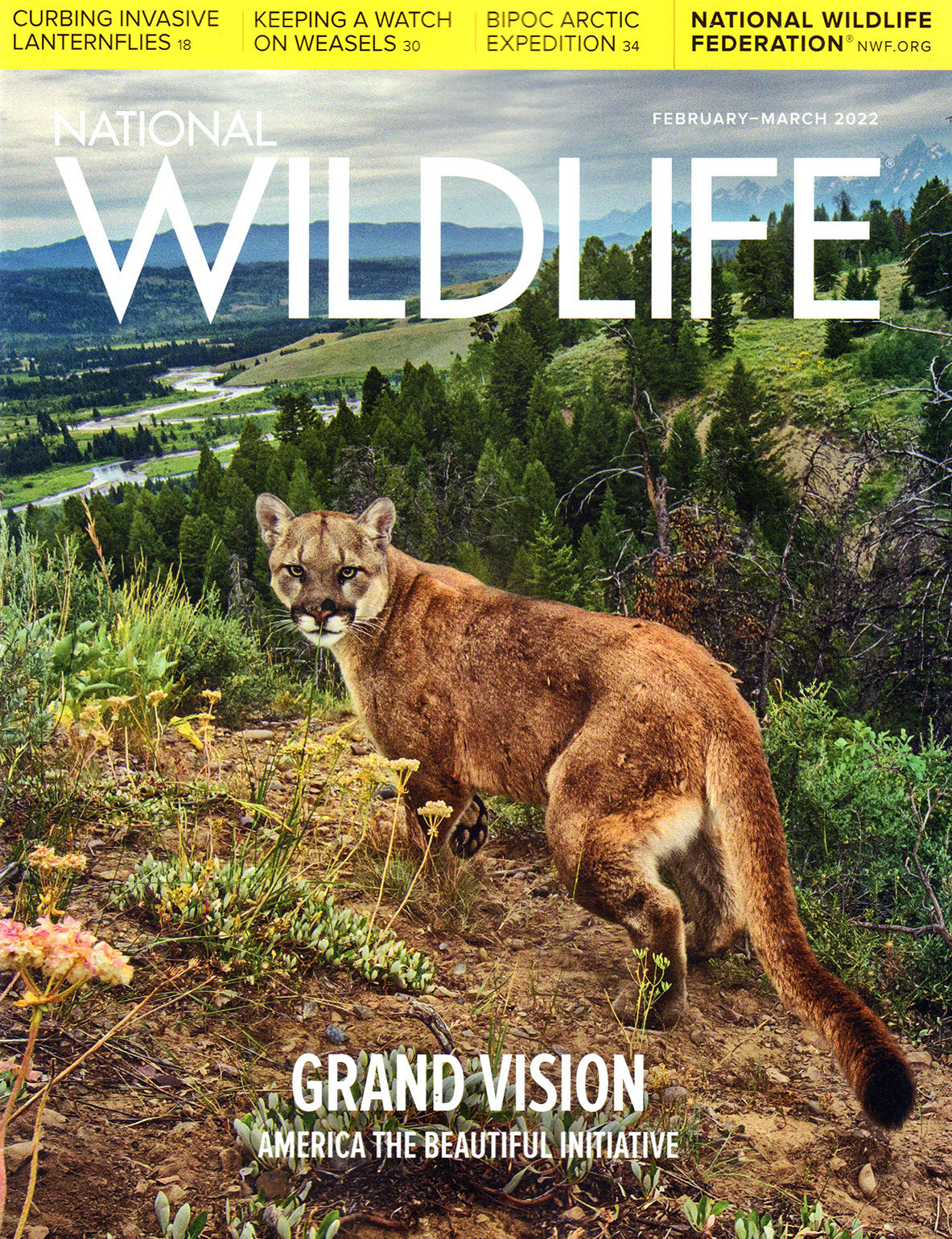 National Wildlife Magazine | Magazine-Agent.com