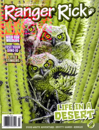 Ranger Rick Magazine | Magazine-Agent.com