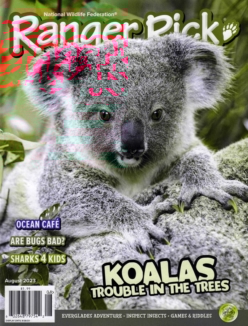 Ranger Rick Magazine | Magazine-Agent.com