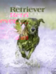 Retriever Journal | Magazine-Agent.com