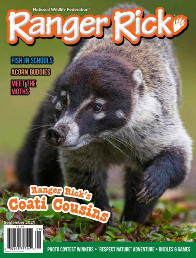 Ranger Rick Magazine | Magazine-Agent.com