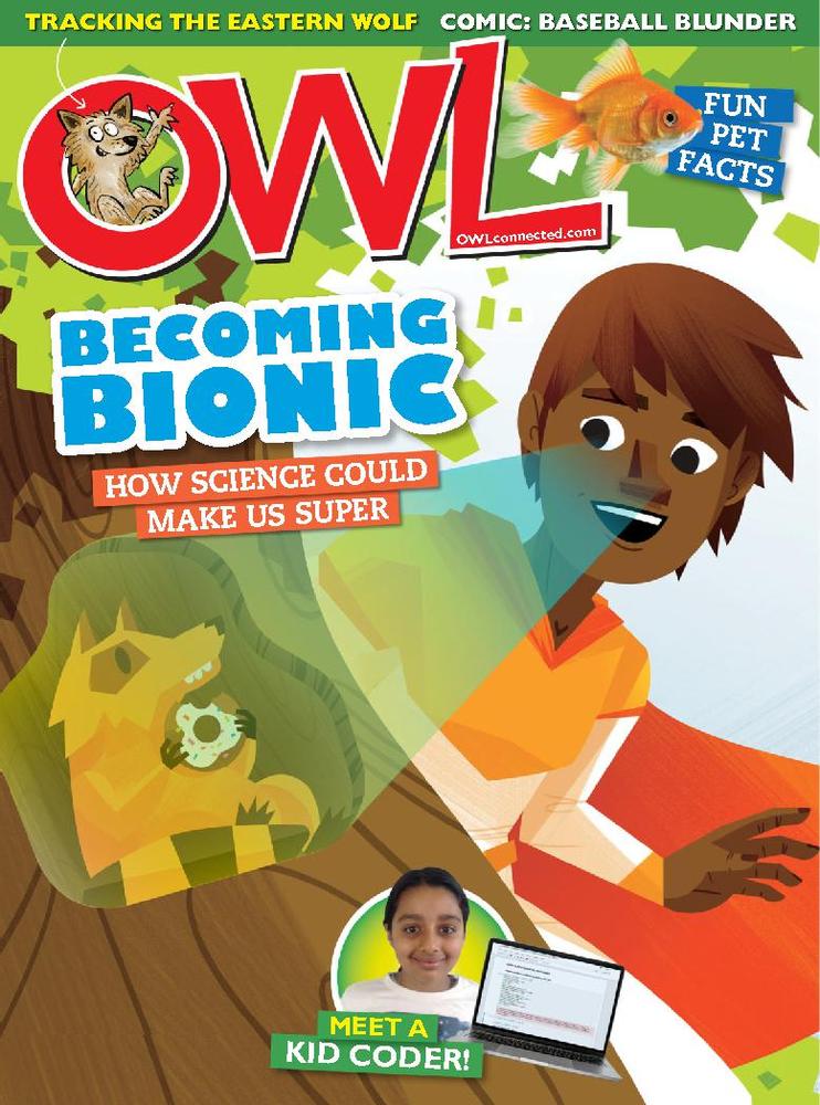 Owl Magazine